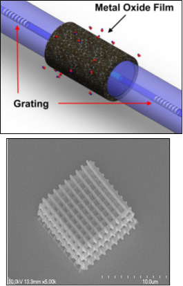 AOI[3]: Development of Metal Oxide Nanostructure-Based Optical Sensors ...