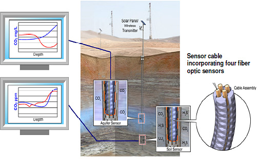 Intrinsic Fiber Optic Chemical Sensors for Subsurface Detection of Carbon Dioxide | netl.doe.gov