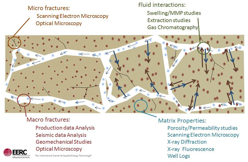 Improved Characterization and Modeling of Tight Oil Formations for CO2 ...