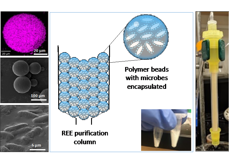 NETL Helps Develop a Rare Earth Element Biosorption Reactor | netl.doe.gov