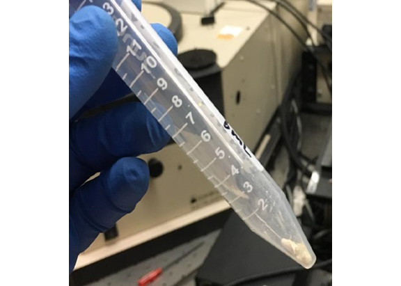 Idaho National Laboratory Developing New Rare Earth Element Sensing ...
