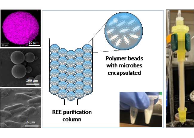 NETL Helps Develop a Rare Earth Element Biosorption Reactor | netl.doe.gov